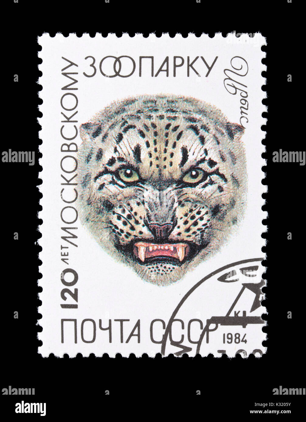 Postage stamp from the Soviet Union depicting a snow leopard, for the ...
