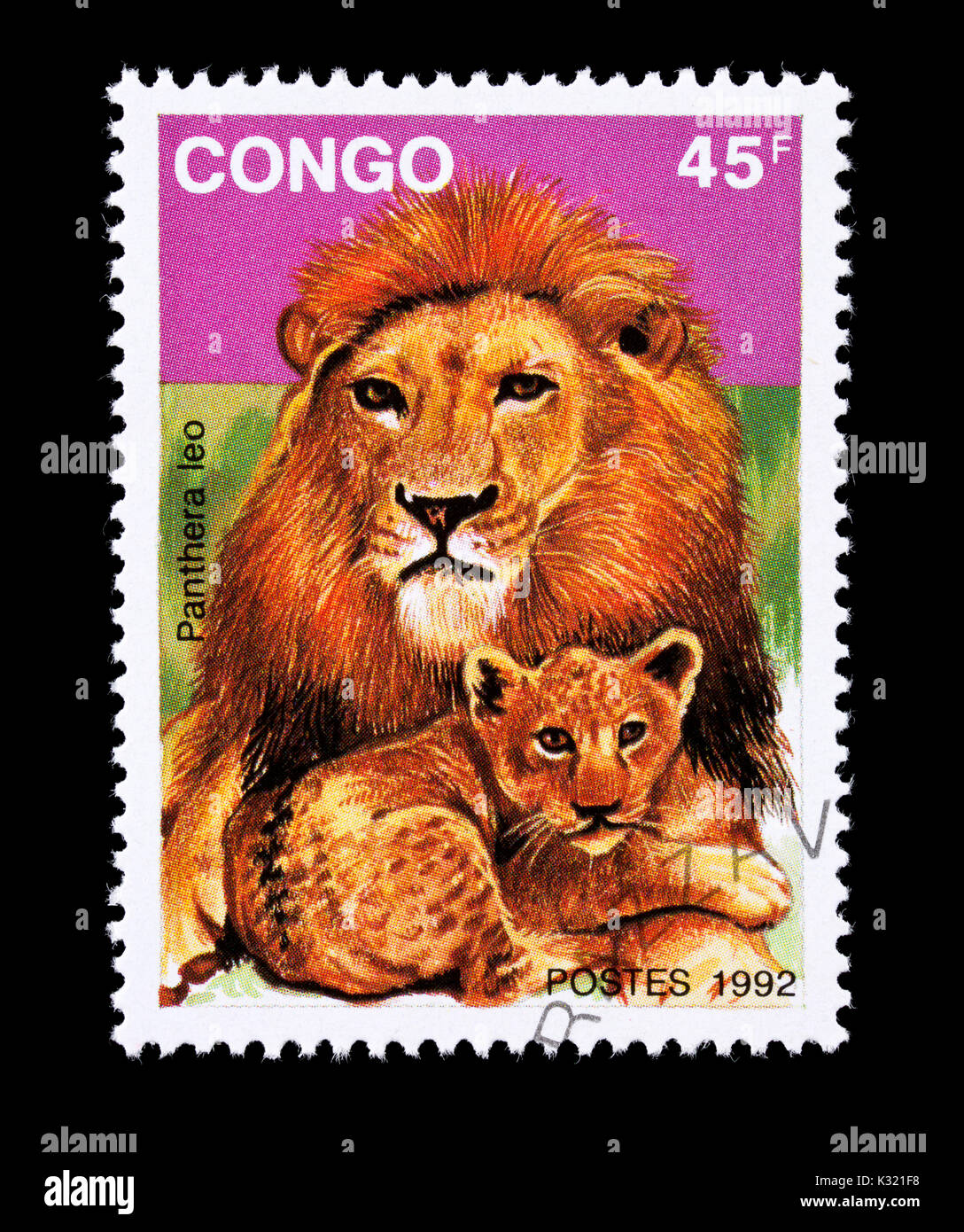Postage stamp from the Congo depicting an adult male lion with a cub ...