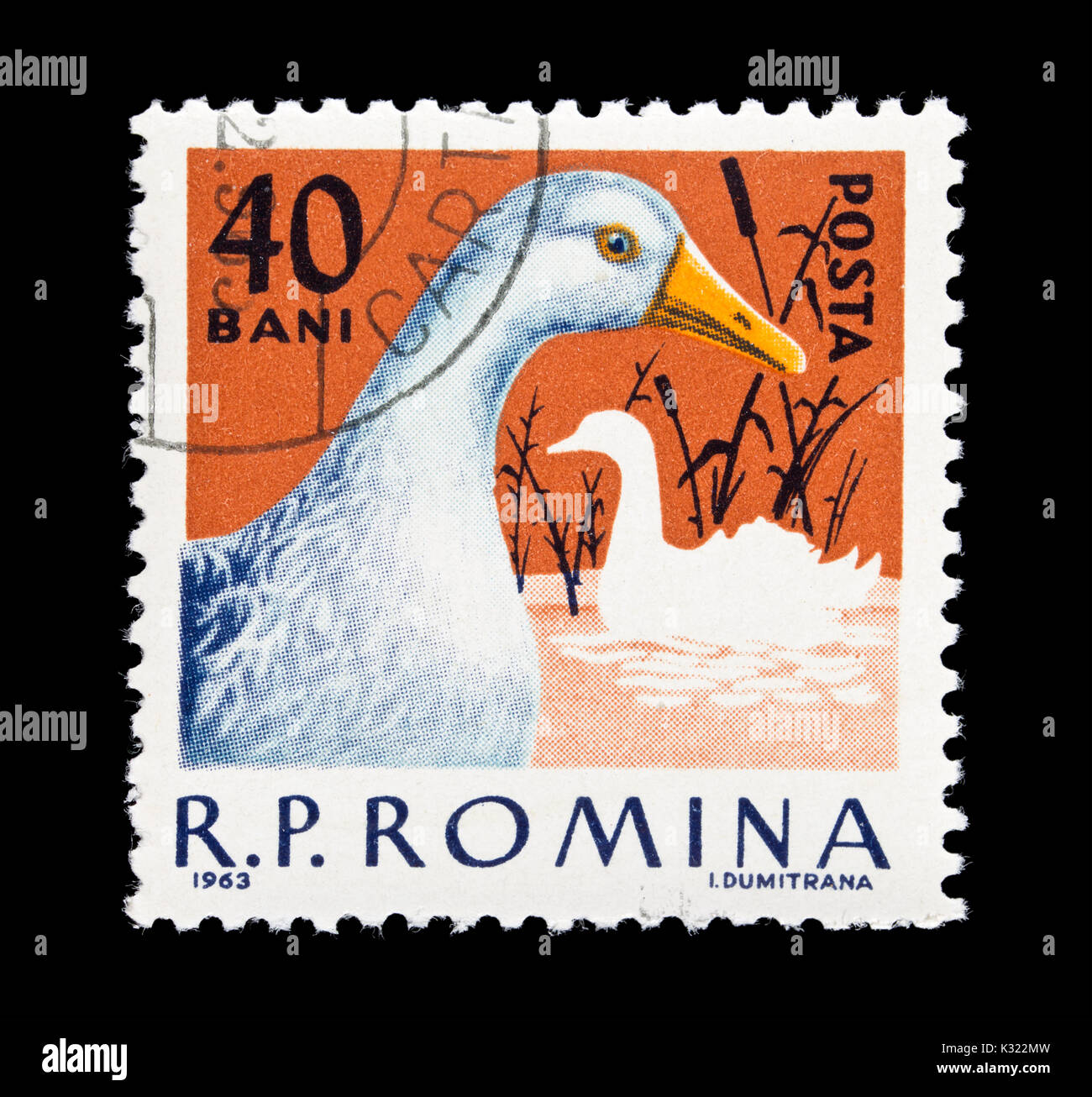 Postage stamp from Romania depicting a domesticated goose Stock Photo ...