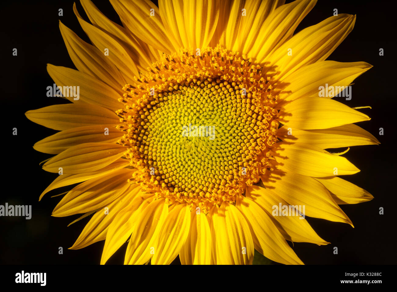 Agro ecosystem hi-res stock photography and images - Alamy