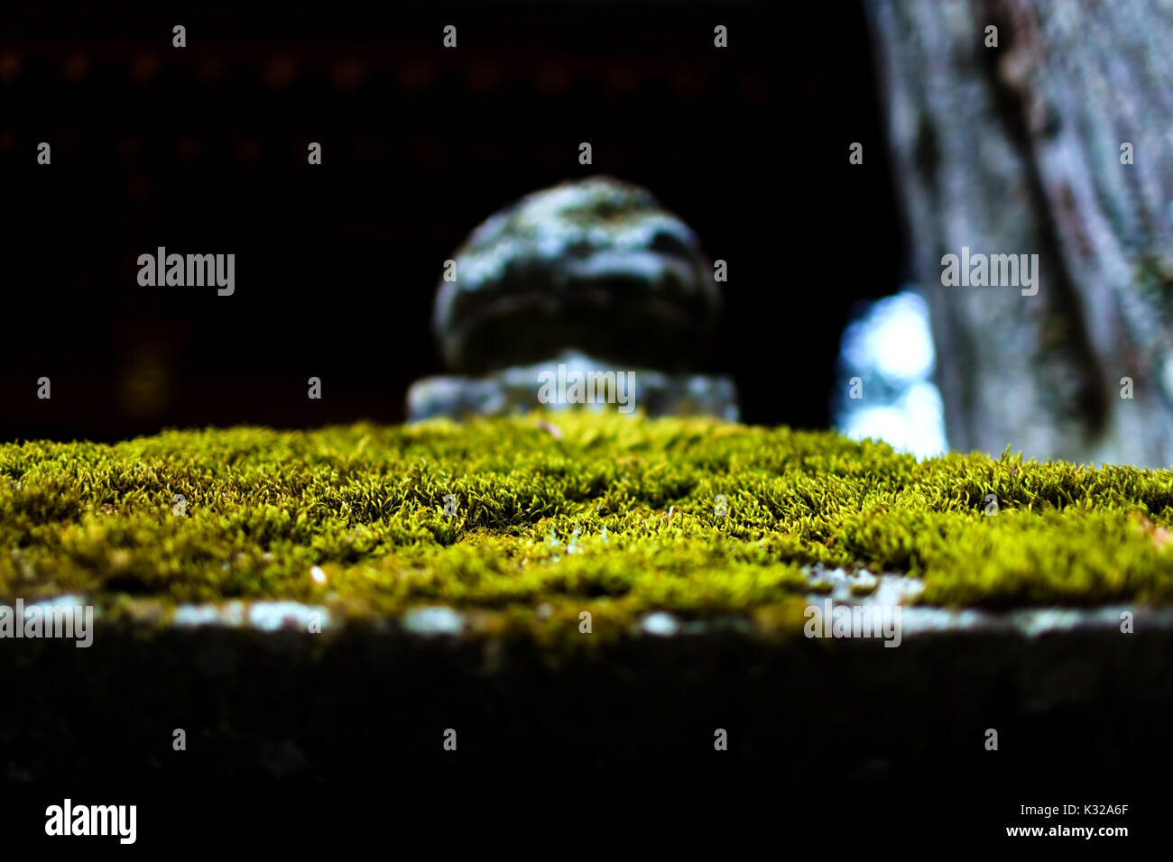Mossy stone lantern with close-up detailed view Stock Photo - Alamy