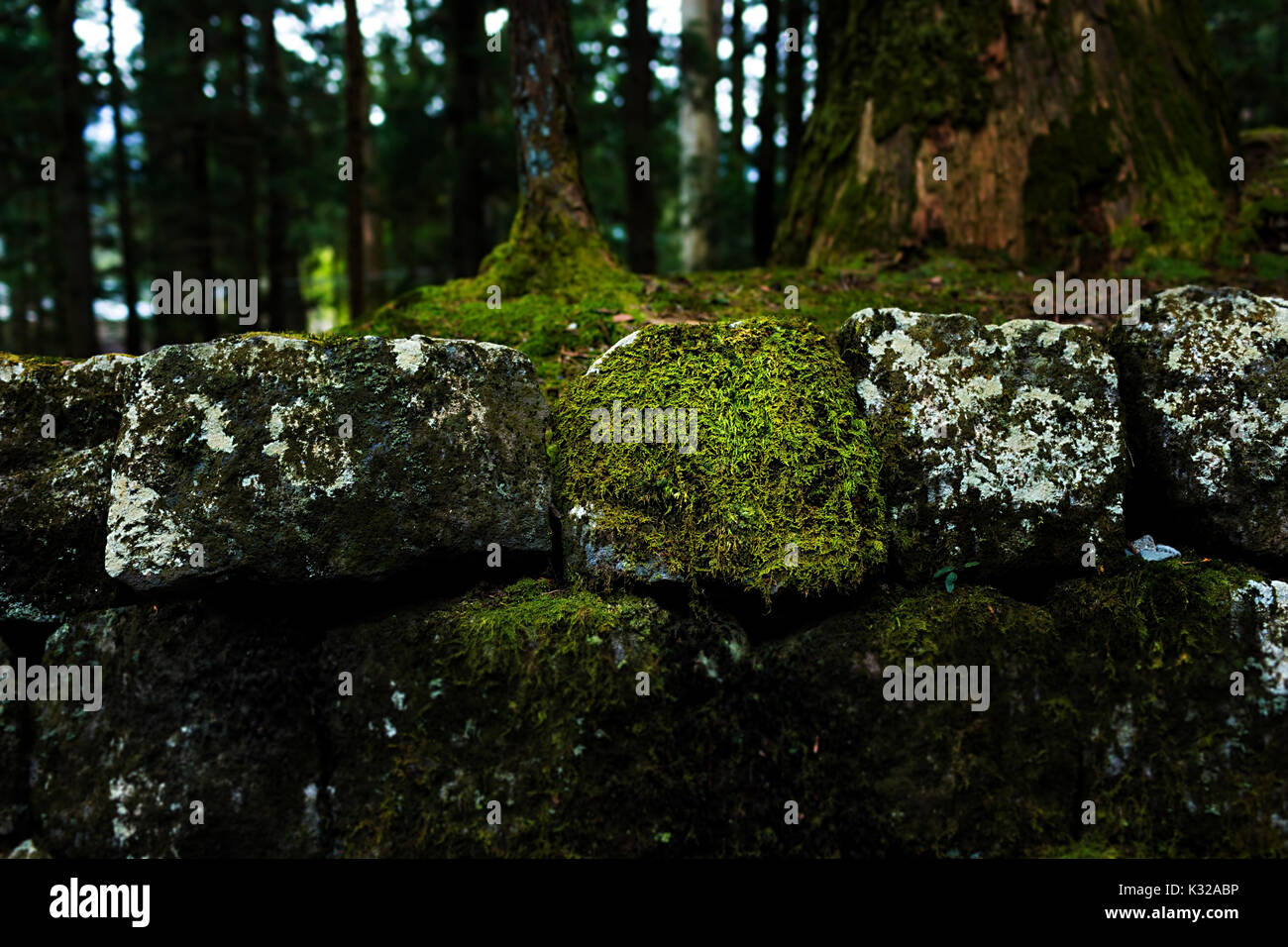 Detailed view natural rock hi-res stock photography and images - Alamy