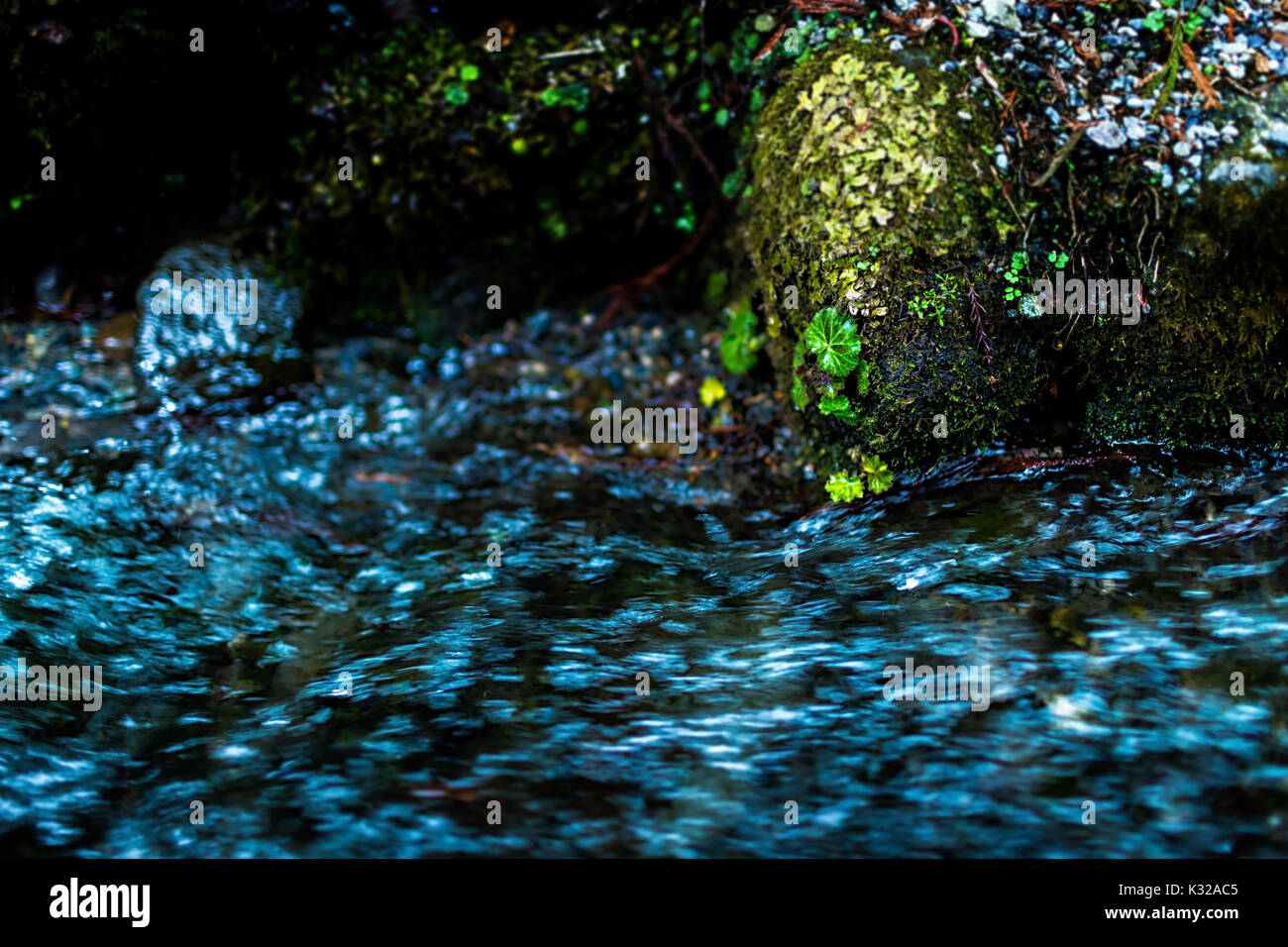 Water stream in Nikko, Japan Stock Photo - Alamy