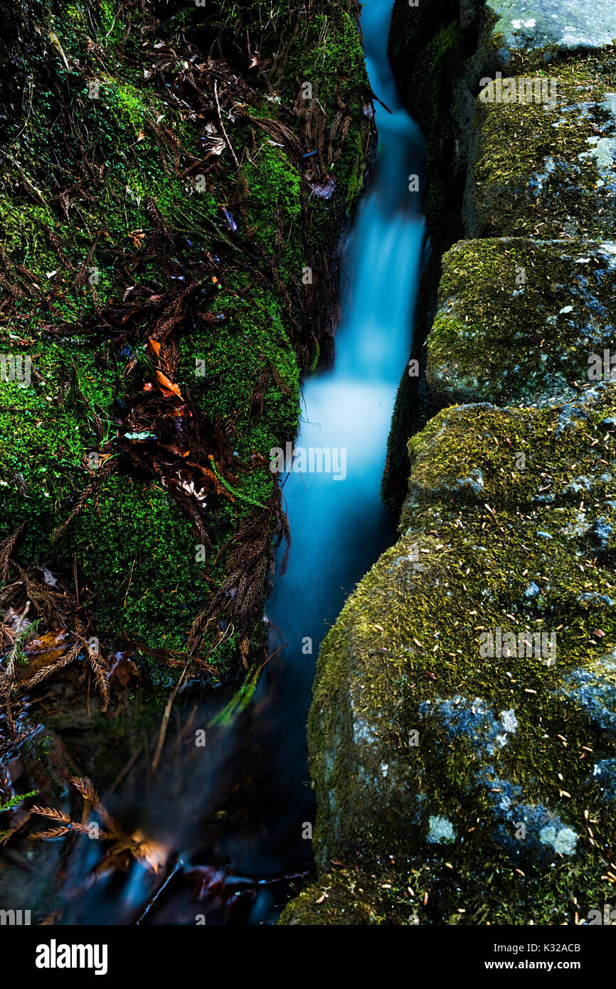 Water stream in Nikko, Japan Stock Photo - Alamy