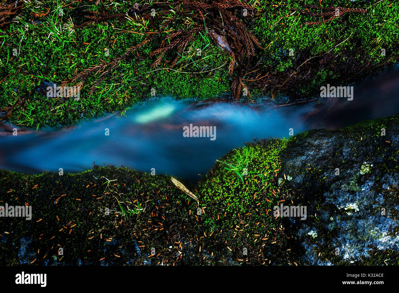 Water stream in Nikko, Japan Stock Photo - Alamy