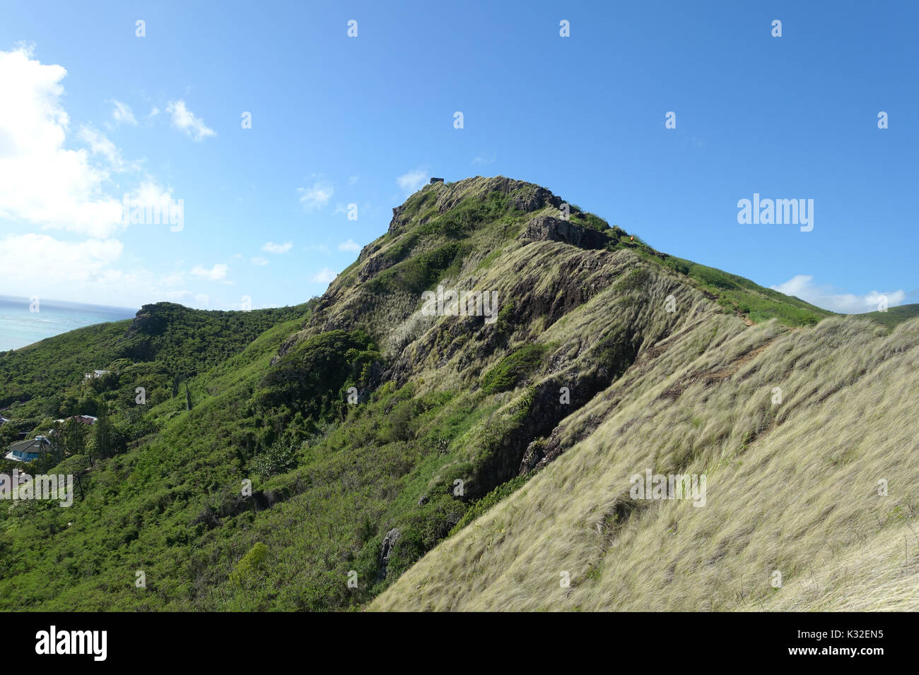 Pillbox Hiking Trail - This short, sometimes narrow hike features two ...