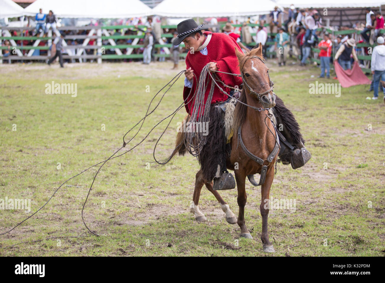 Throw lasso hi-res stock photography and images - Alamy