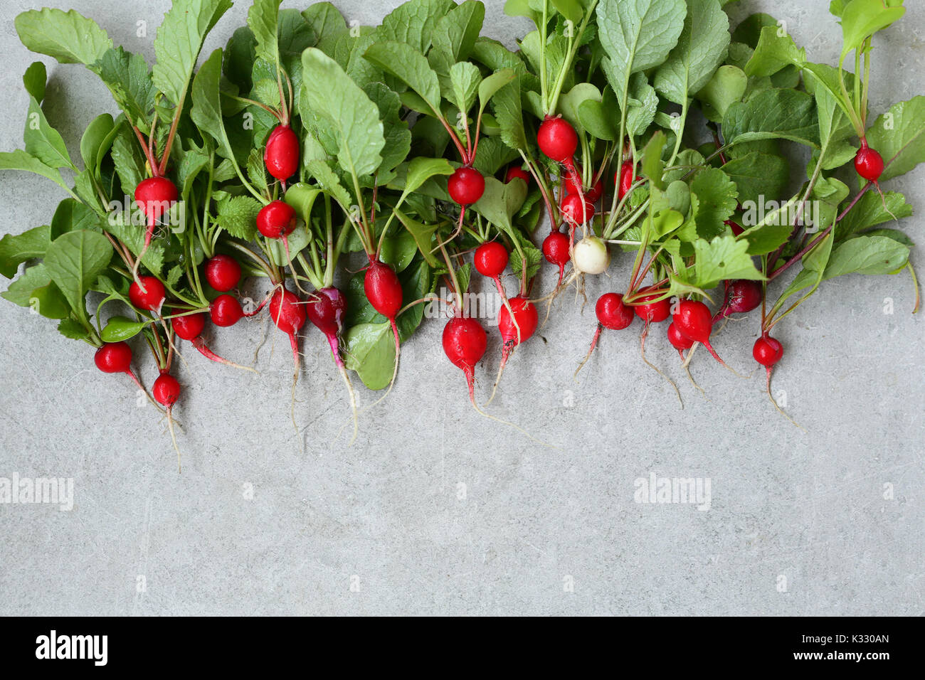 Baby Radish High Resolution Stock Photography and Images - Alamy