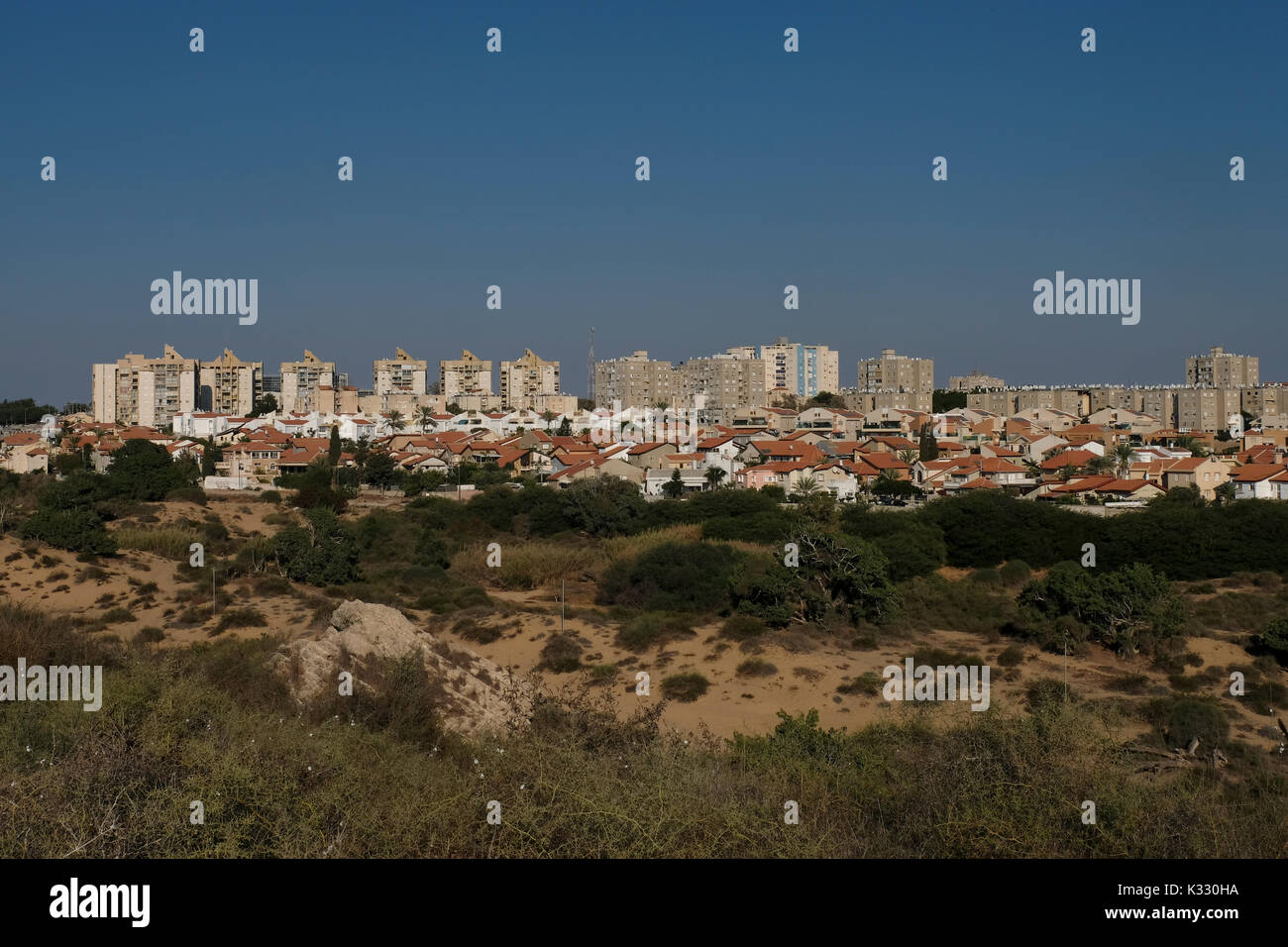 Neve yam hi-res stock photography and images - Alamy