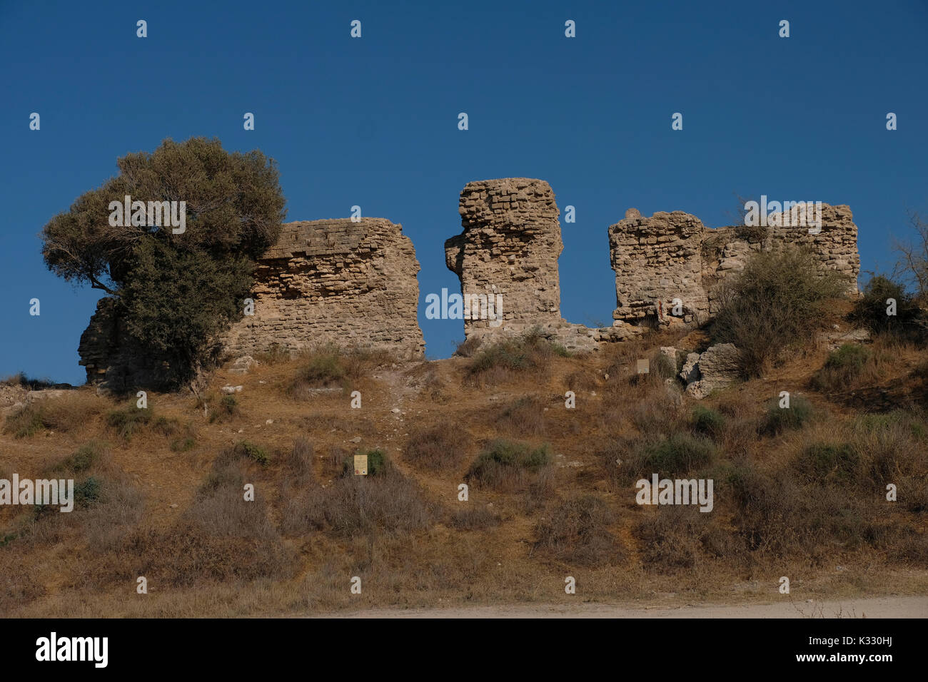 Remains of 12th Century walls built by the Fatimids situated on a ...