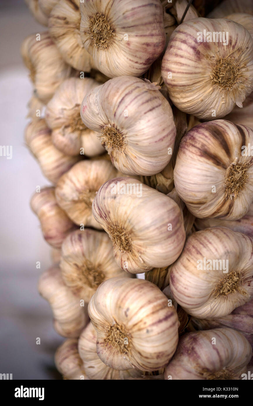 Rose garlic in street market, Castillonnès, Lot Valley, France Stock ...