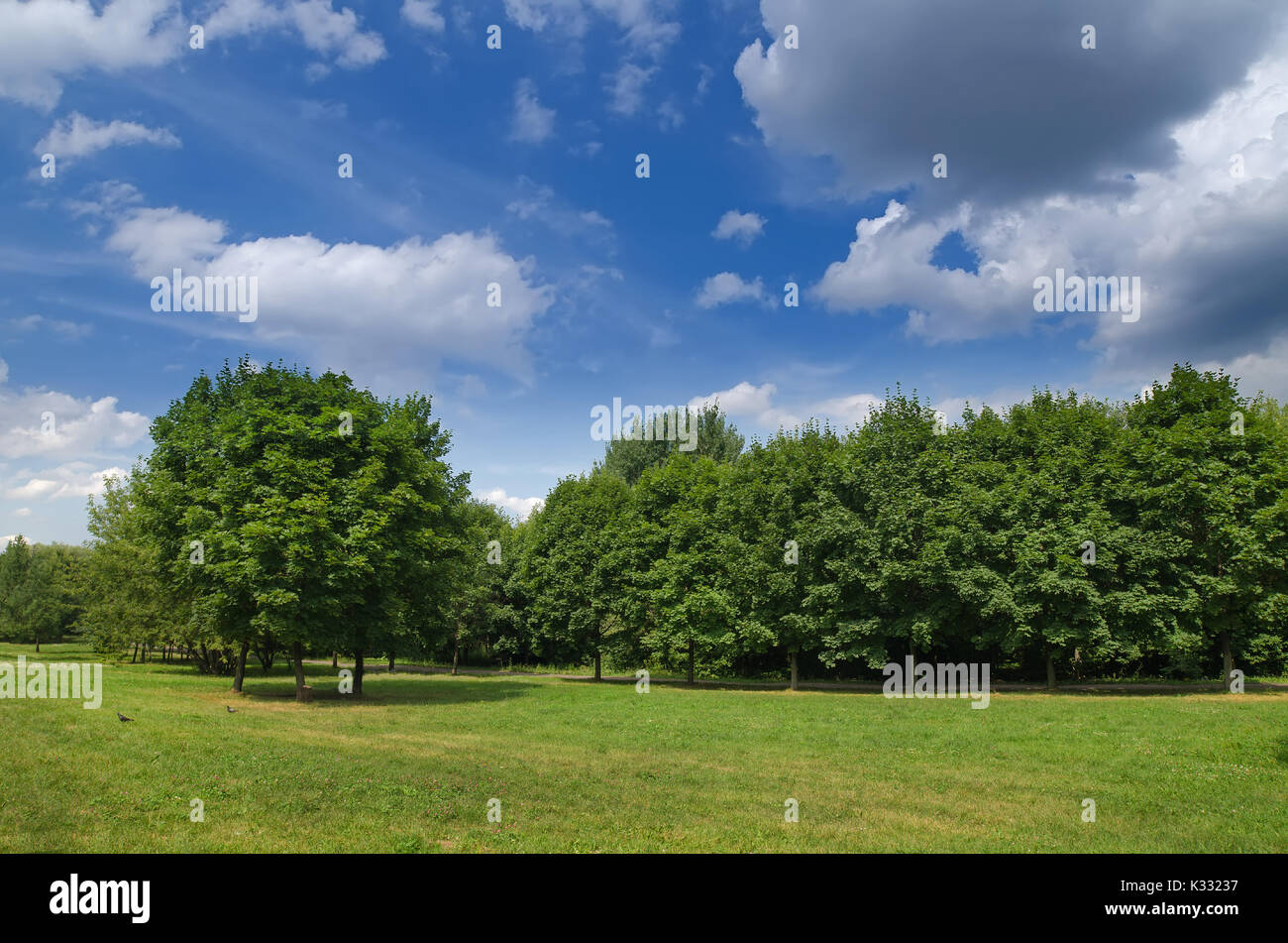 Blue sky, green grass and park in Moscow, Russia Stock Photo - Alamy