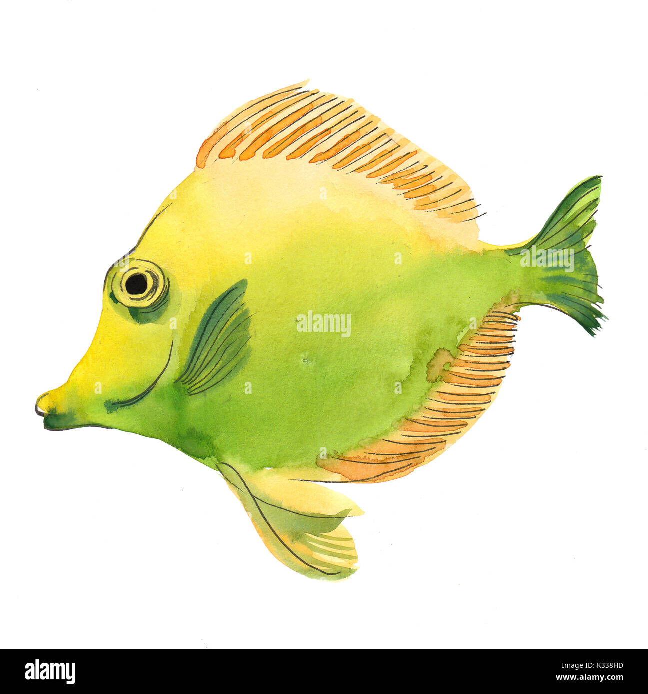 Yellow fish painting Cut Out Stock Images & Pictures - Alamy