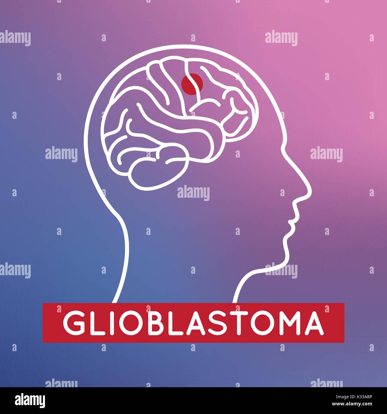 Histology vector vectors hi-res stock photography and images - Alamy