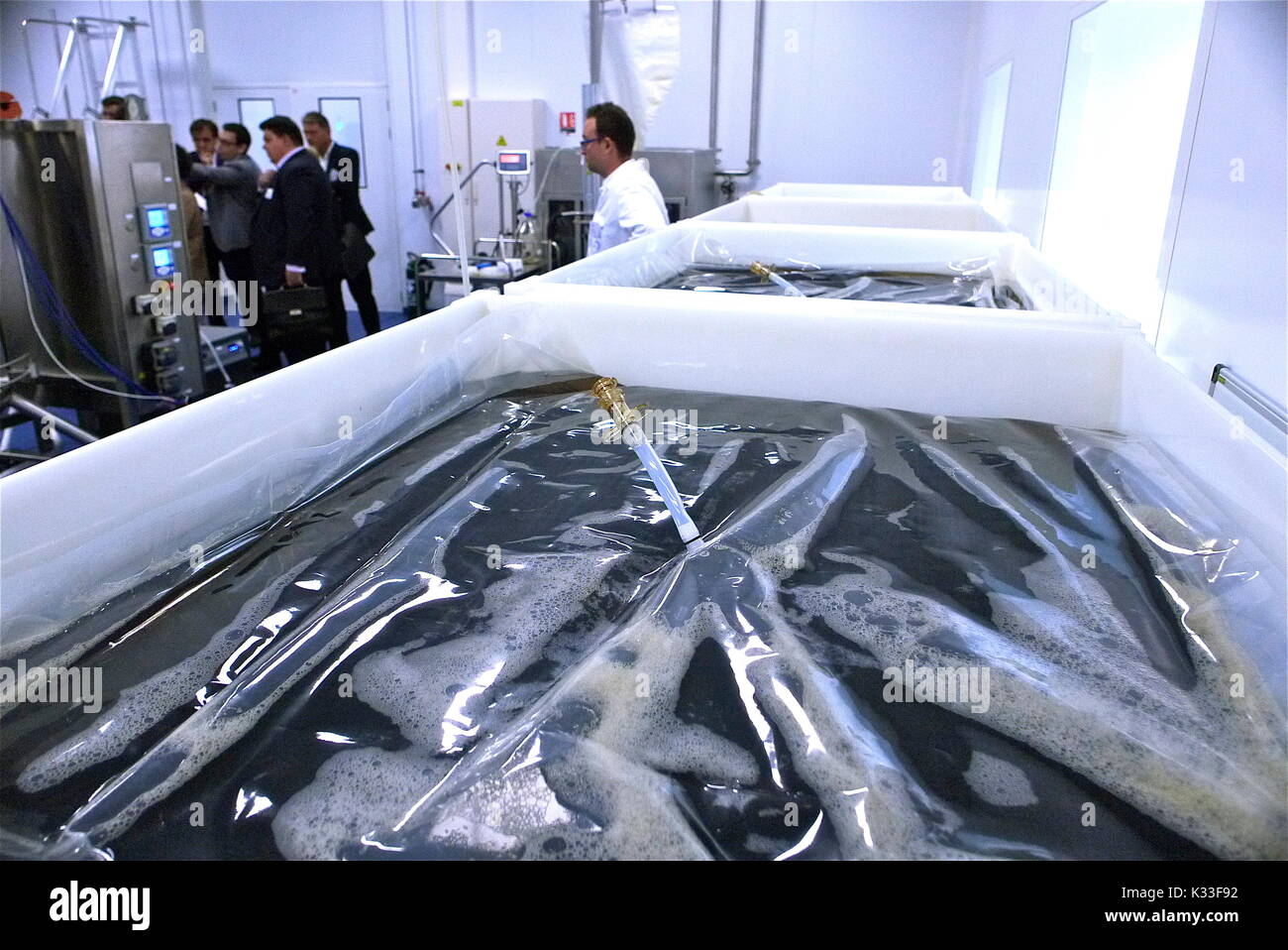 Opening of Amoeba laboratory, in Chassieu, France Stock Photo - Alamy