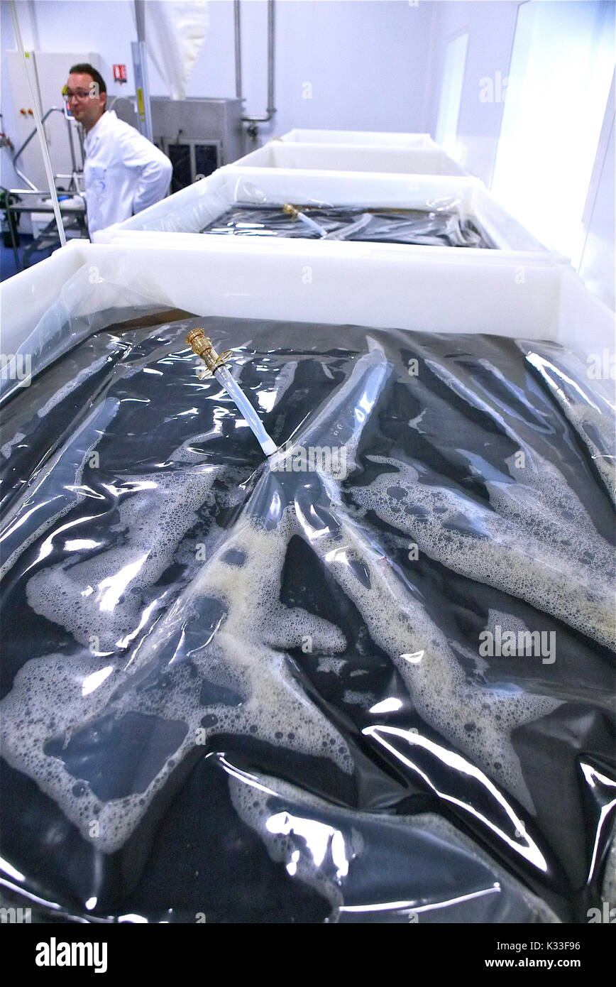 Opening of Amoeba laboratory, in Chassieu, France Stock Photo - Alamy