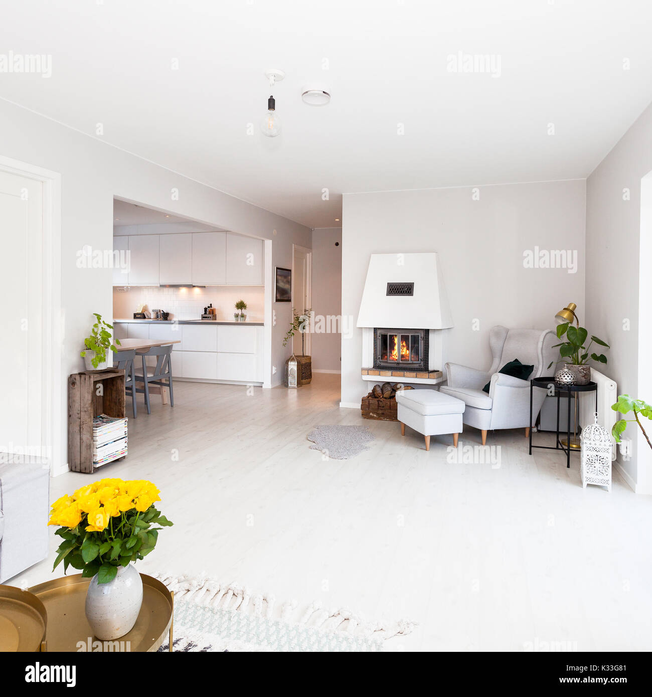 Fancy chair hi-res stock photography and images - Alamy