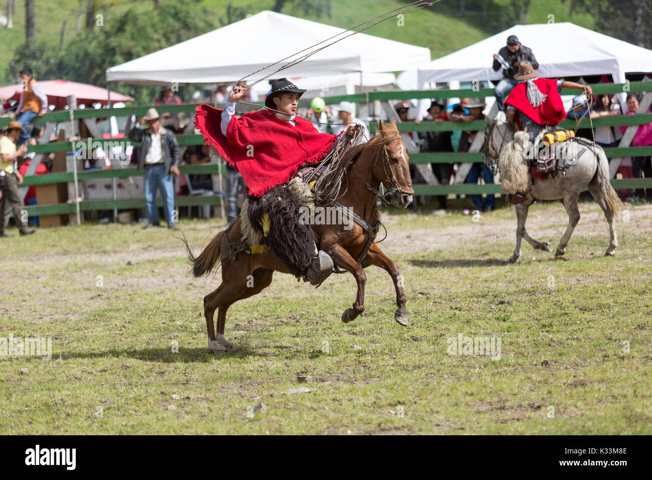 Cowboy throwing lasso hi-res stock photography and images - Alamy
