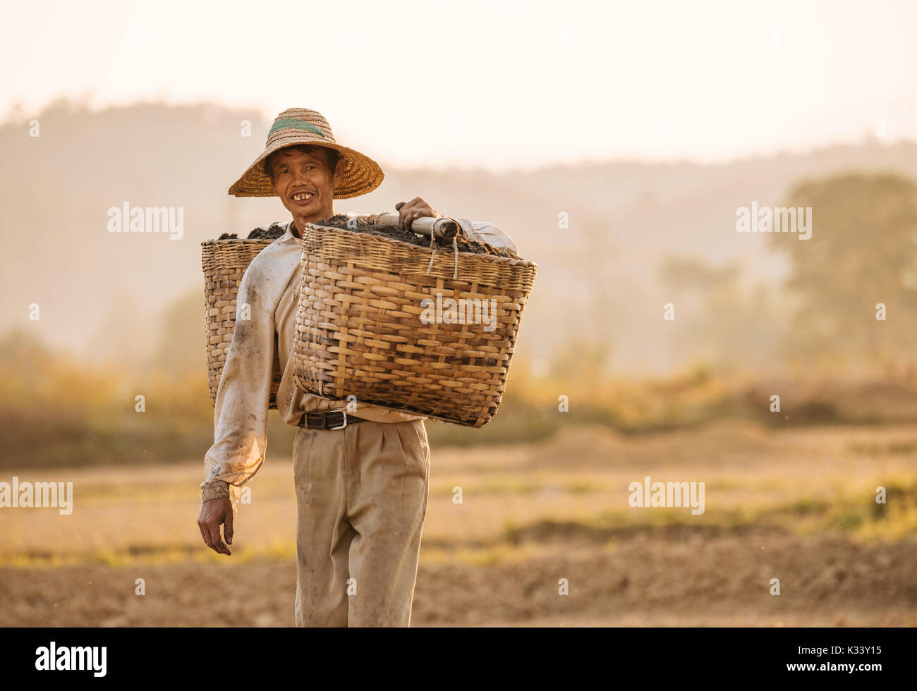 Man working in Paddy fields near Hsipaw, Shan State, Myanmar, Asia ...