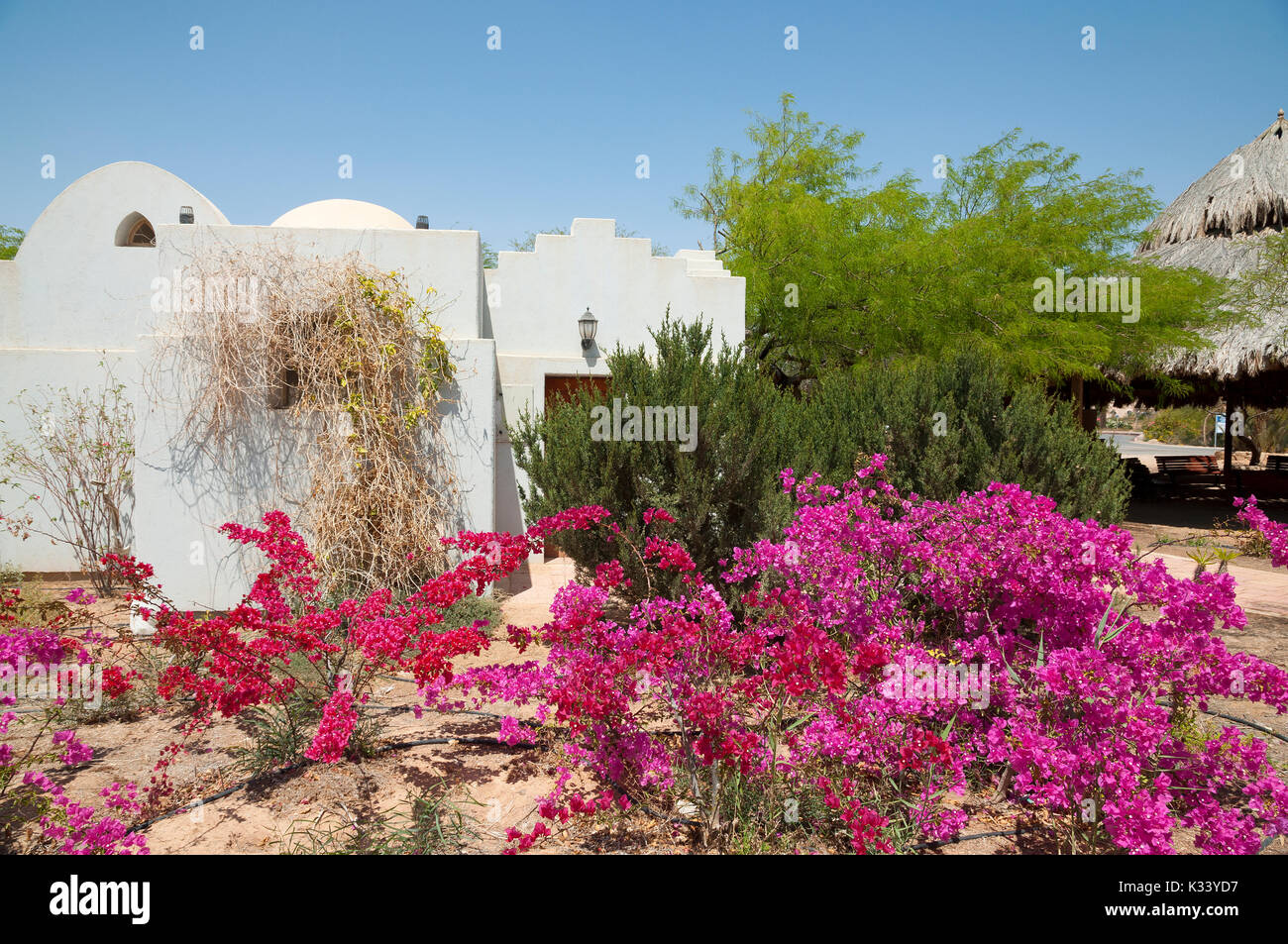 Kibbutz movement hi-res stock photography and images - Alamy