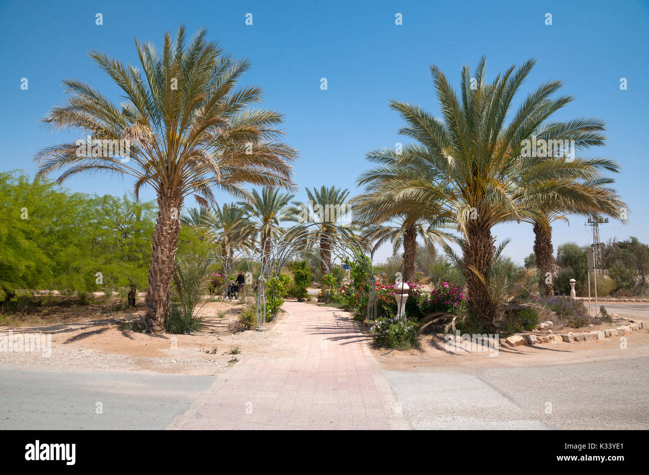 Kibbutz neot smadar hi-res stock photography and images - Alamy
