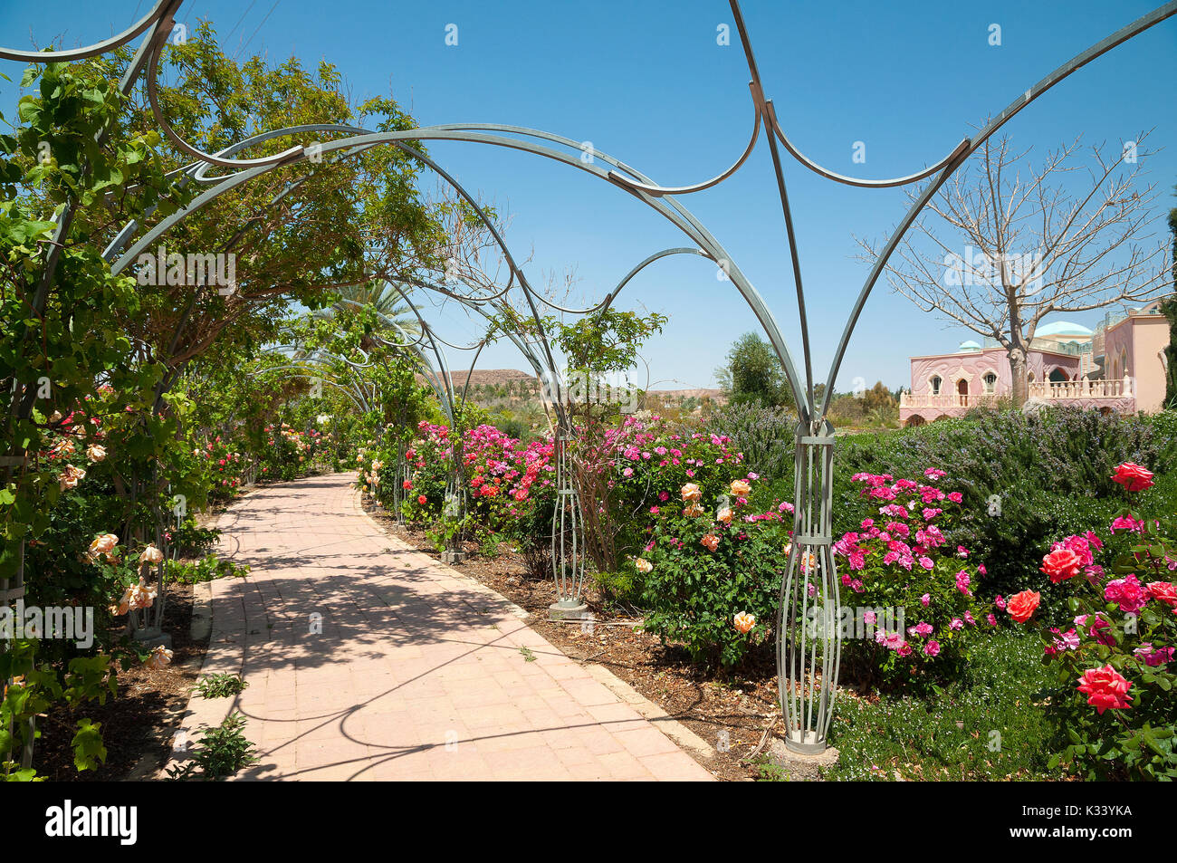 Kibbutz Neot Smadar, Oasis Stock Photo - Alamy
