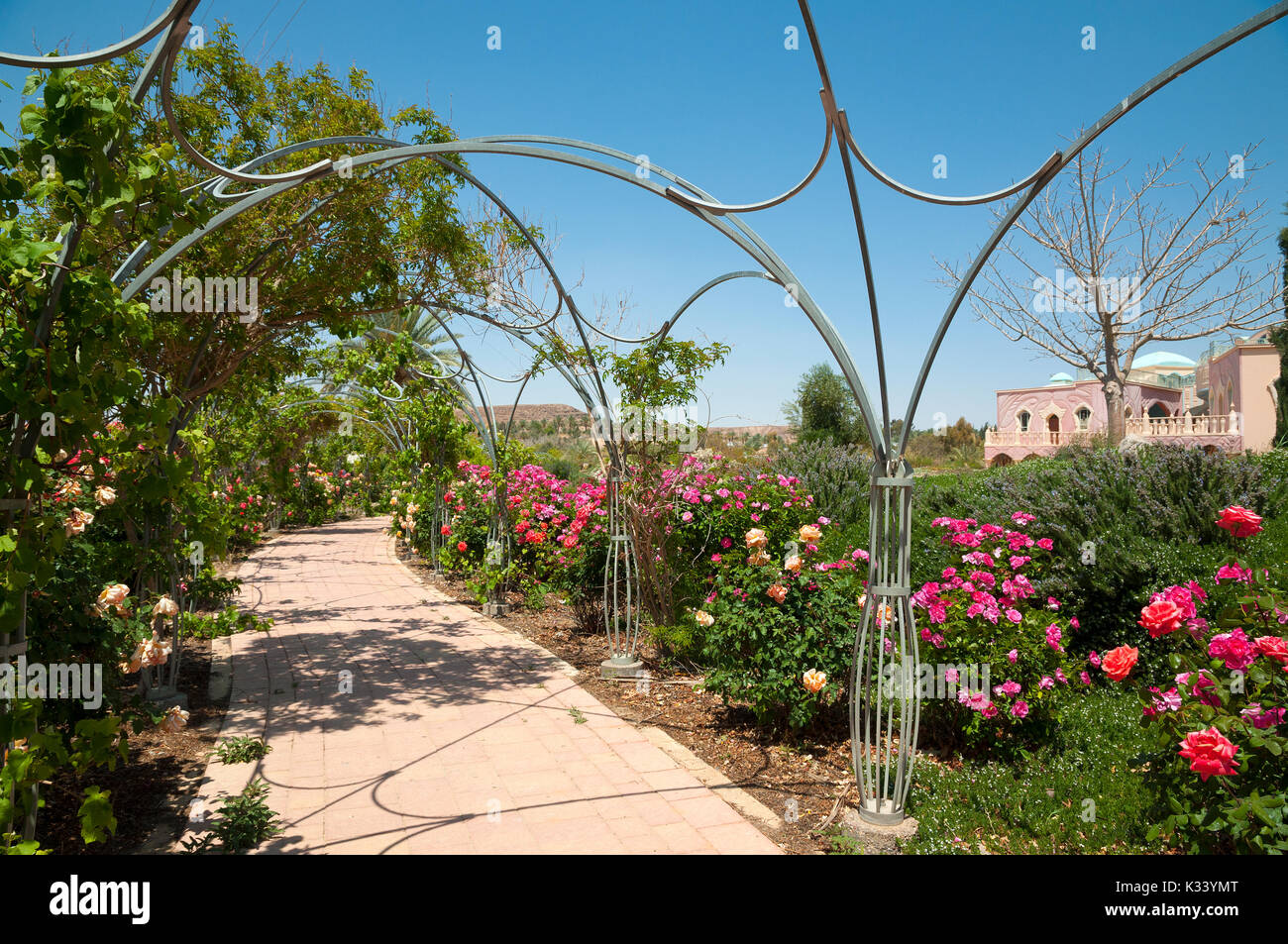 Kibbutz neot smadar hi-res stock photography and images - Alamy
