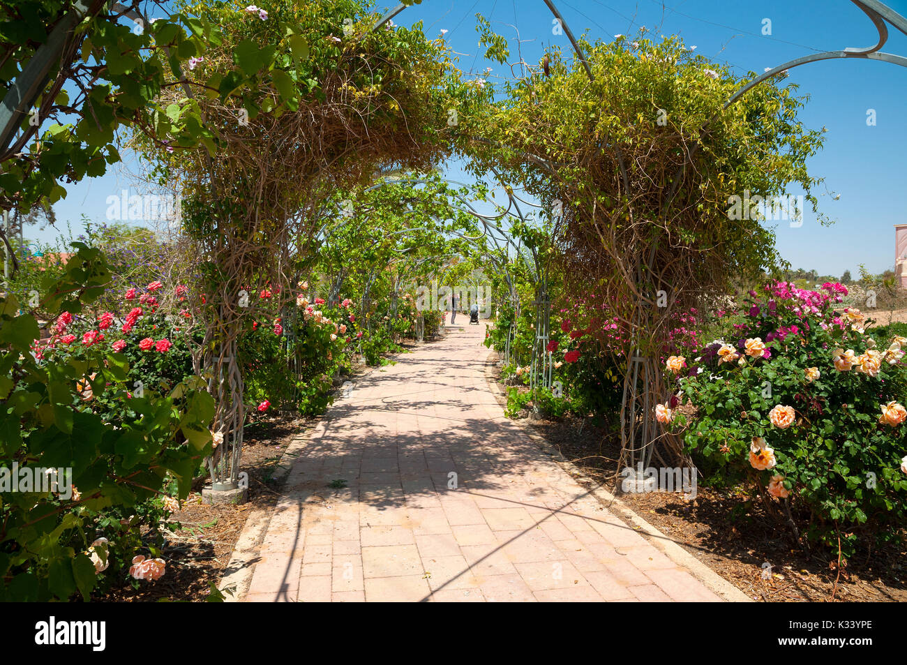 Kibbutz Neot Smadar, Oasis Stock Photo - Alamy