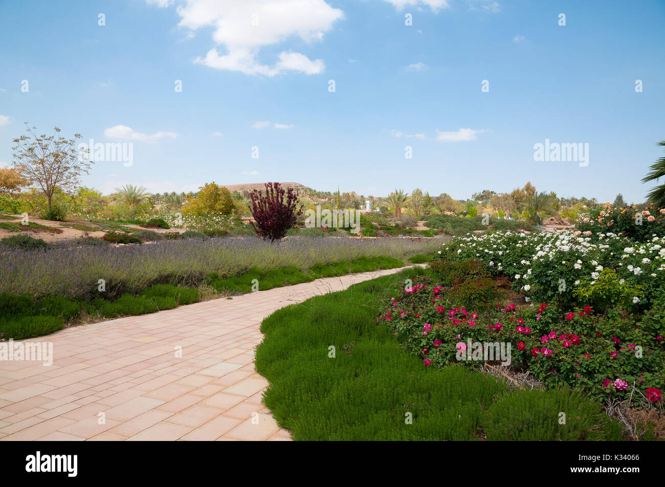Kibbutz neot smadar hi-res stock photography and images - Alamy