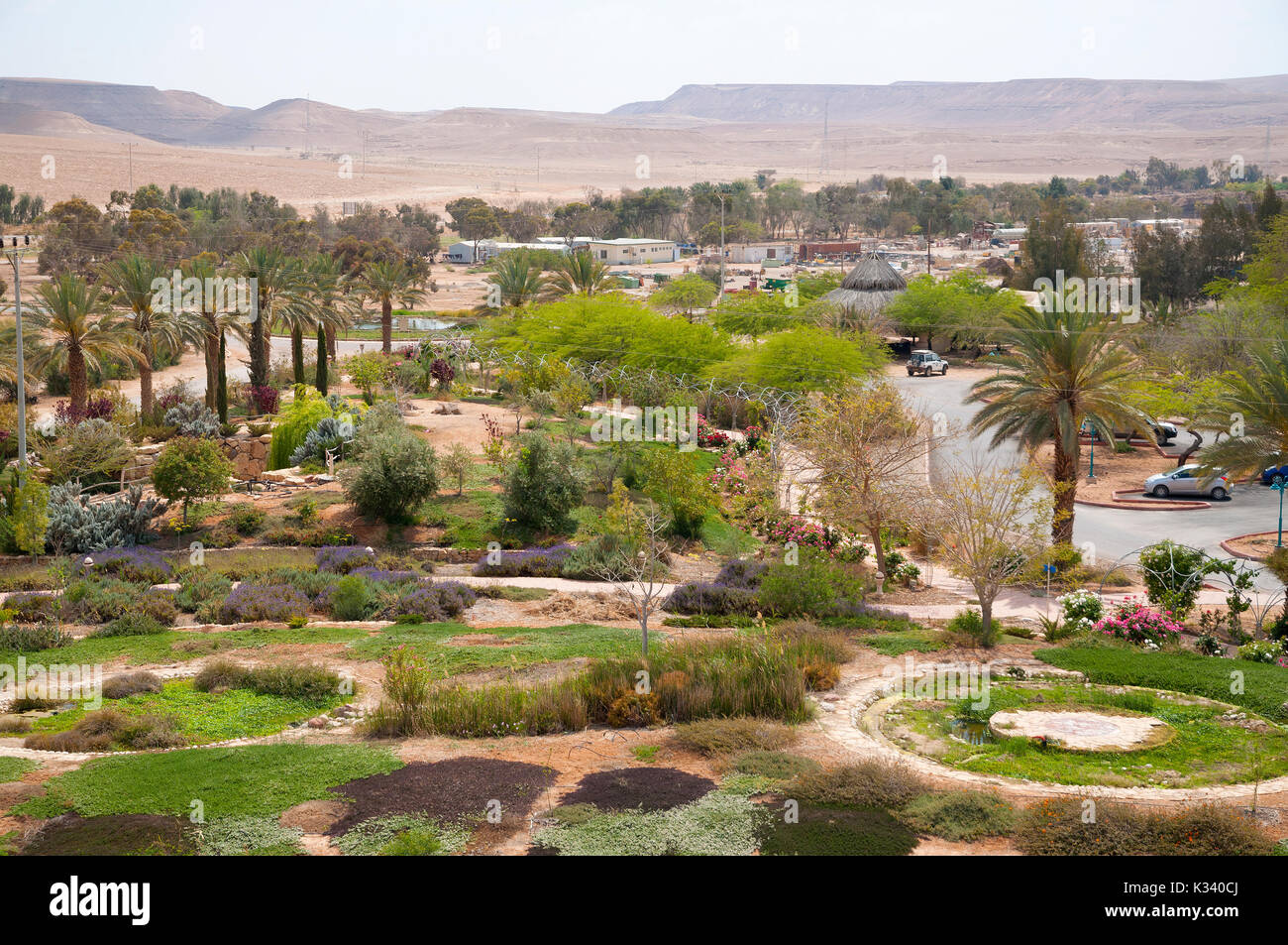 Kibbutz Neot Smadar, Oasis Stock Photo - Alamy