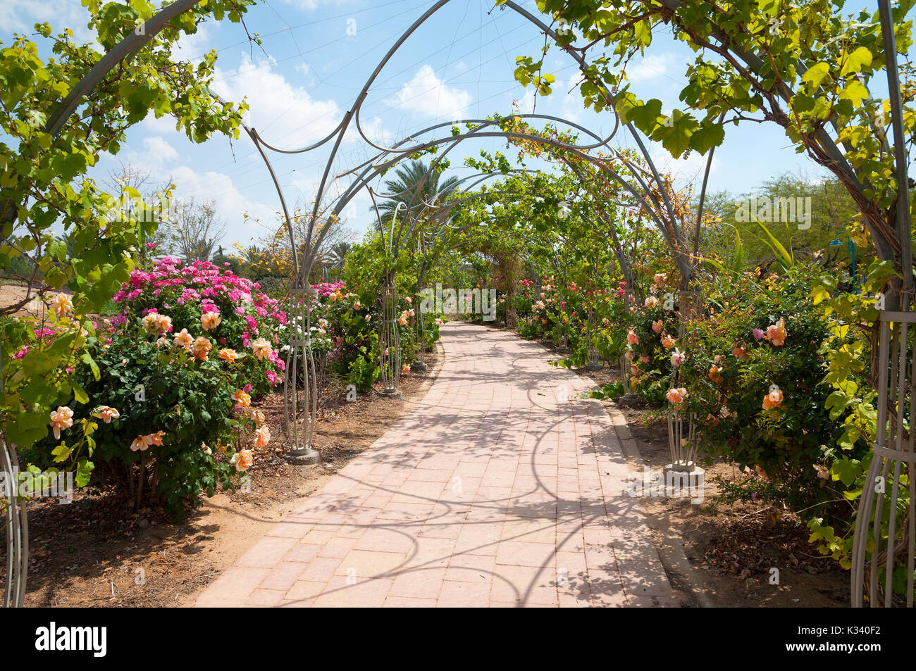 Kibbutz Neot Smadar, Oasis Stock Photo - Alamy