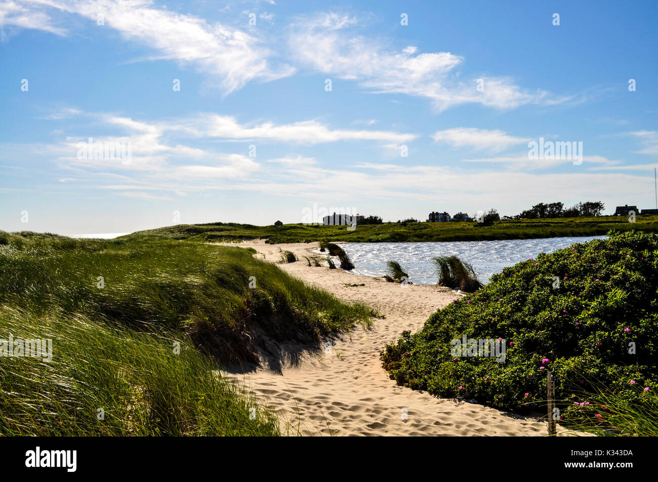 Usa massachusetts nantucket grass hi-res stock photography and images ...