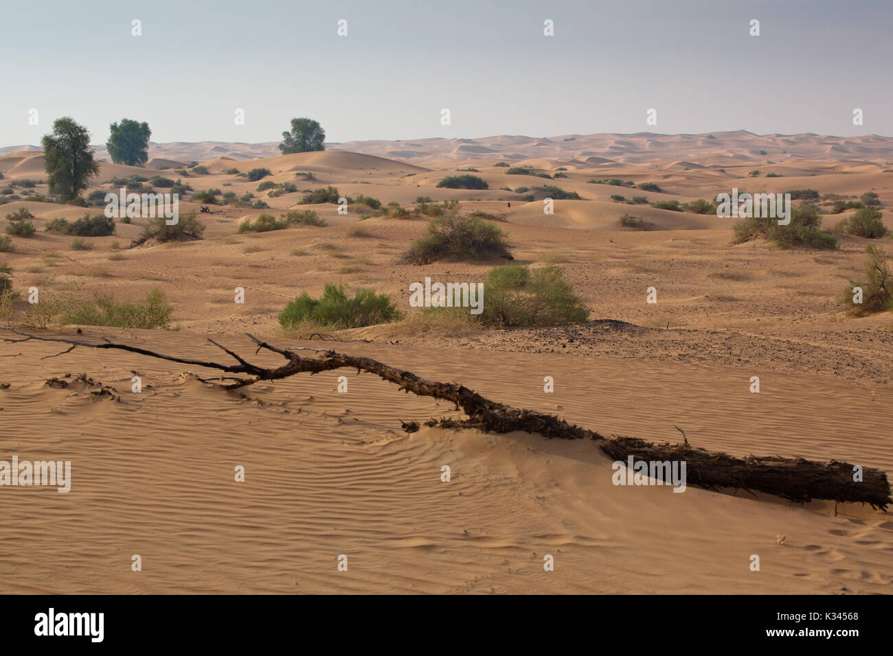 Desert Landscape in Middle East Stock Photo - Alamy