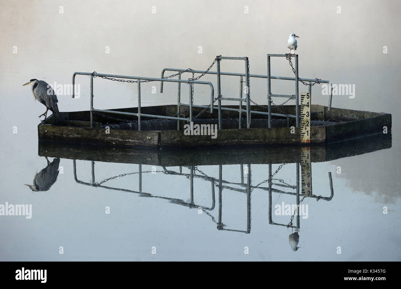 On floating platform hi-res stock photography and images - Alamy