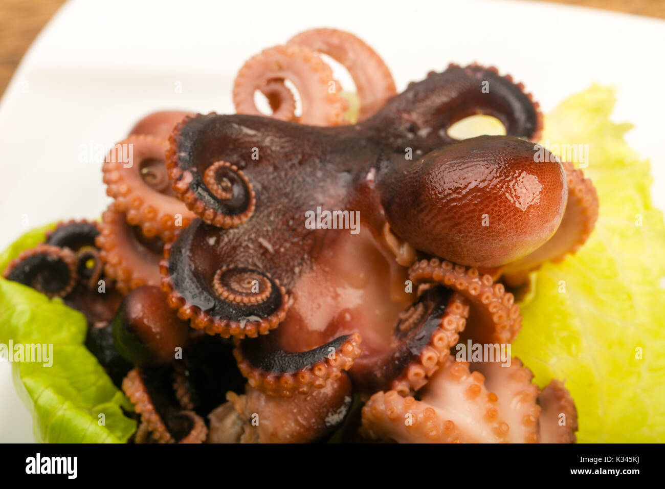 Boiled baby octopuses over salad leaves Stock Photo - Alamy