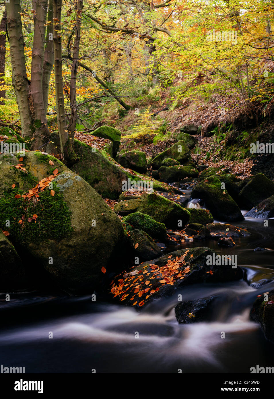 Padley Gorge, Peak District, Derbyshire, England, UK Stock Photo - Alamy