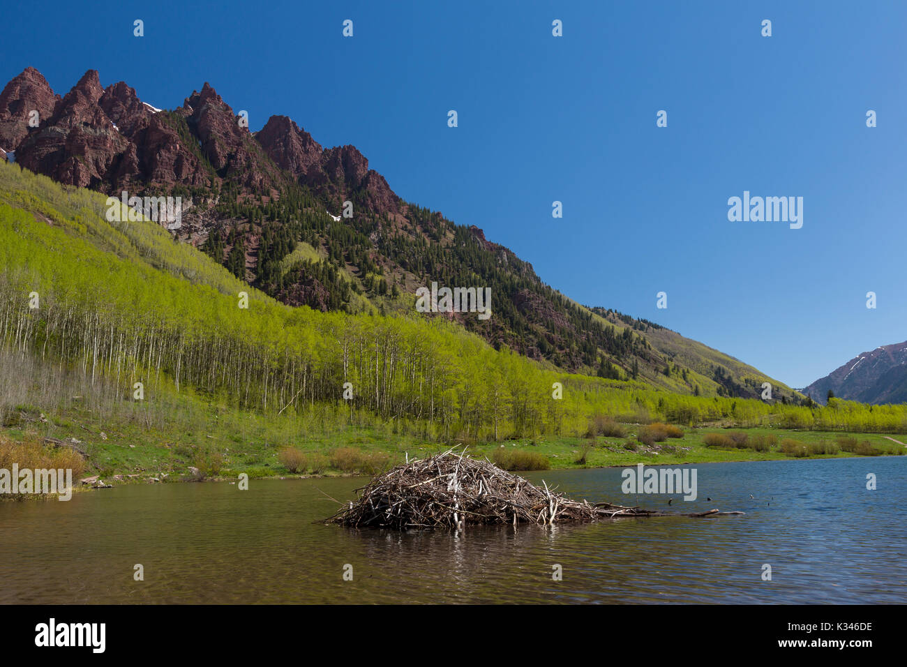 Beaver valley hi-res stock photography and images - Alamy