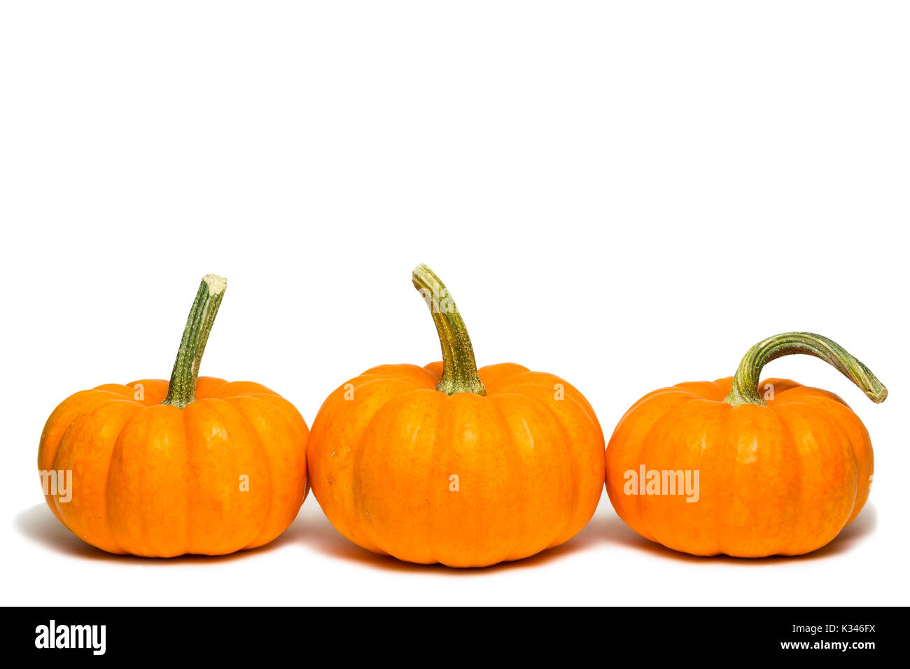 Mini squash hi-res stock photography and images - Alamy