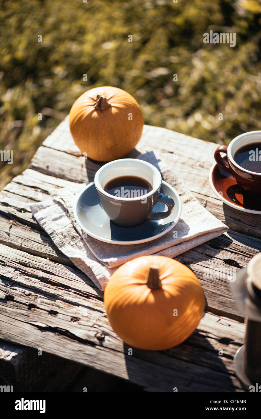 Autumn outdoor coffee picnic. Coffee cups, cute little pumpkin on the ...