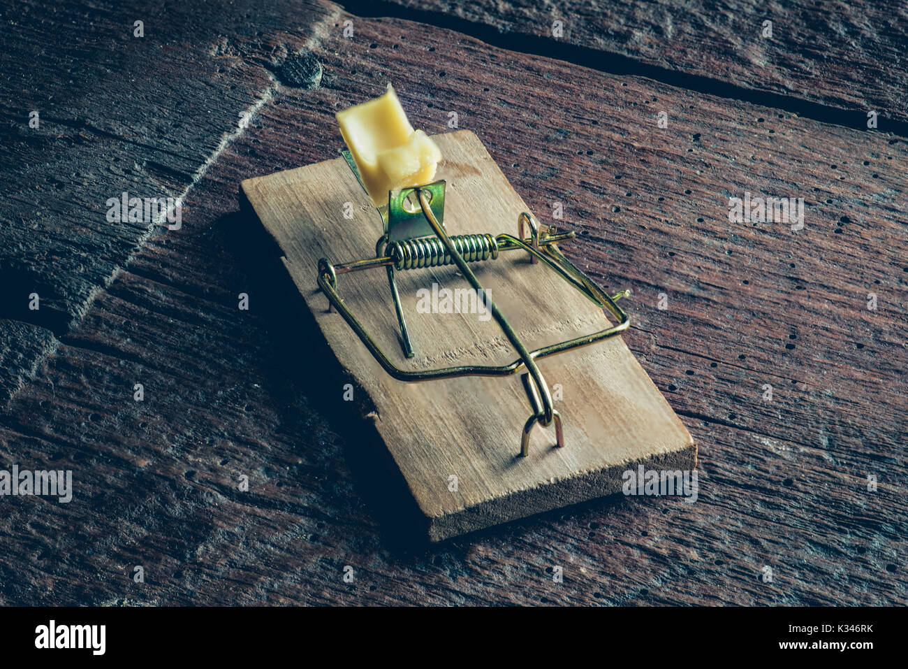 Wooden mouse trap cheese hi-res stock photography and images - Alamy