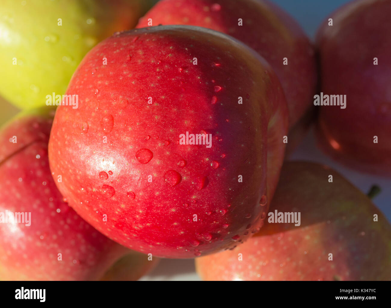 Large gala hi-res stock photography and images - Alamy