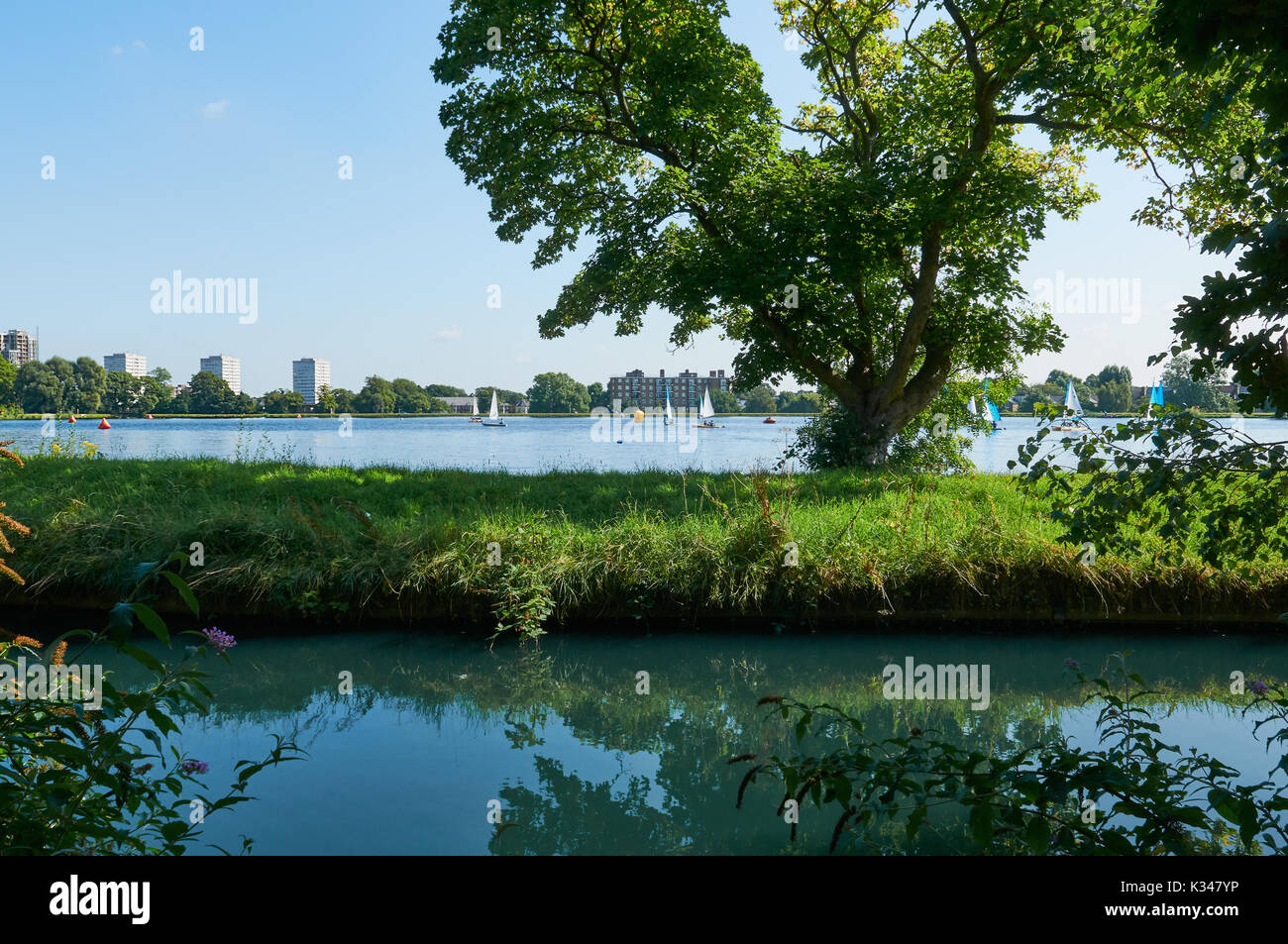 West river wetlands hi-res stock photography and images - Alamy