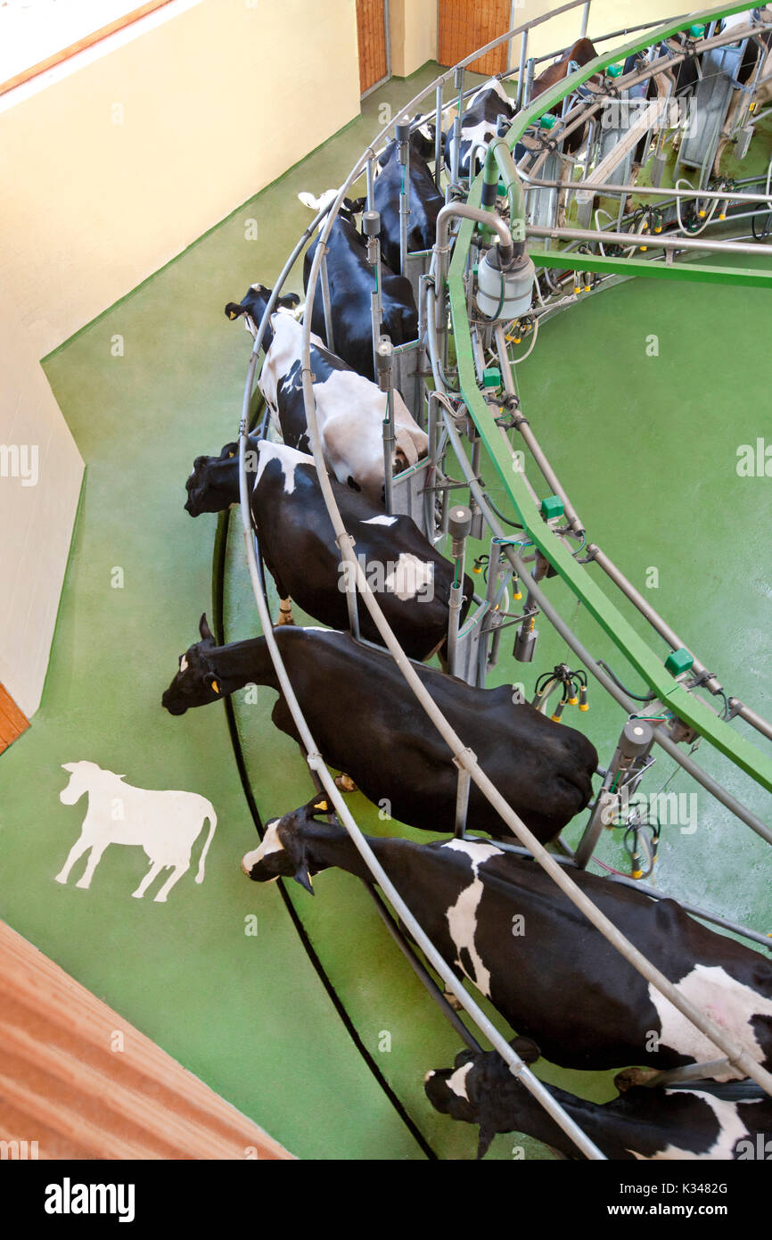 Rotary milking parlour hi-res stock photography and images - Alamy