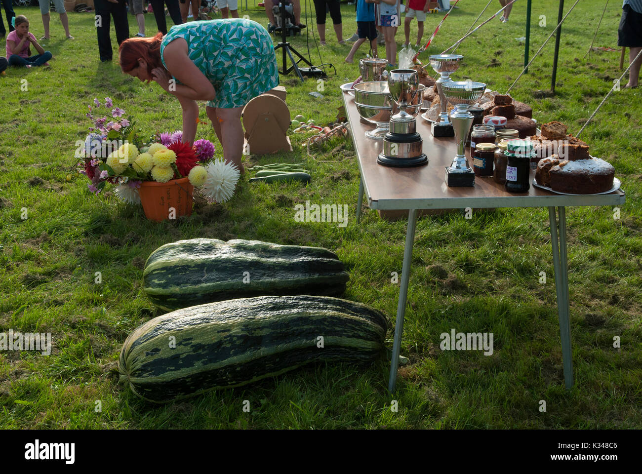 Judging the cut flowers and homegrown vegetables, oversized marrows and ...
