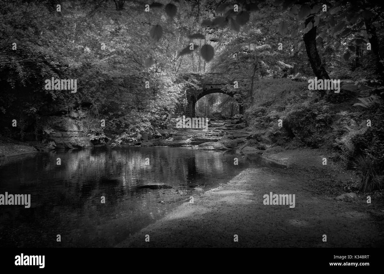 Summer pool in the North Yorkshire moors national park, tiny stream ...
