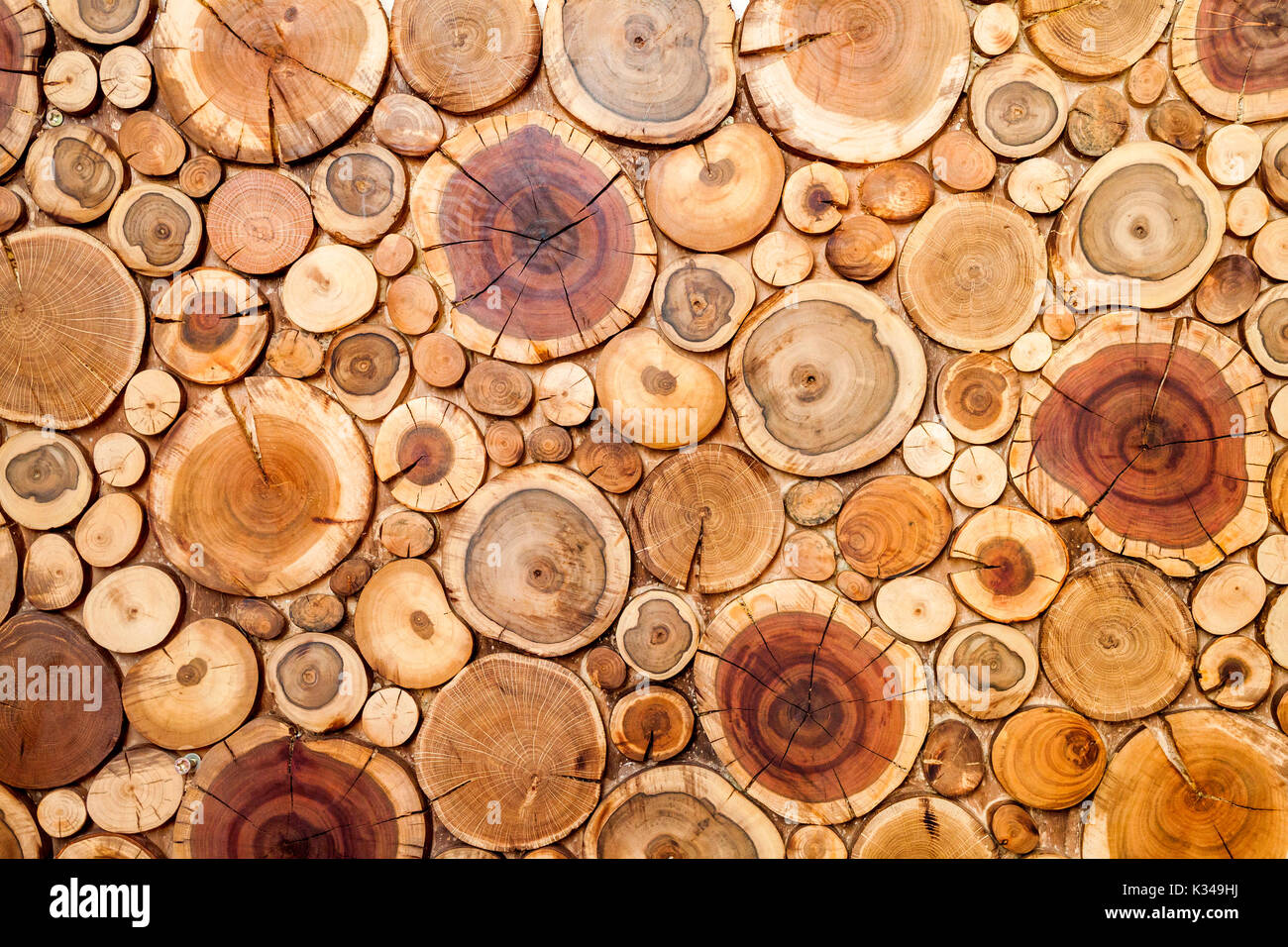 Round wooden stumps background,Trees cut section for background texture ...