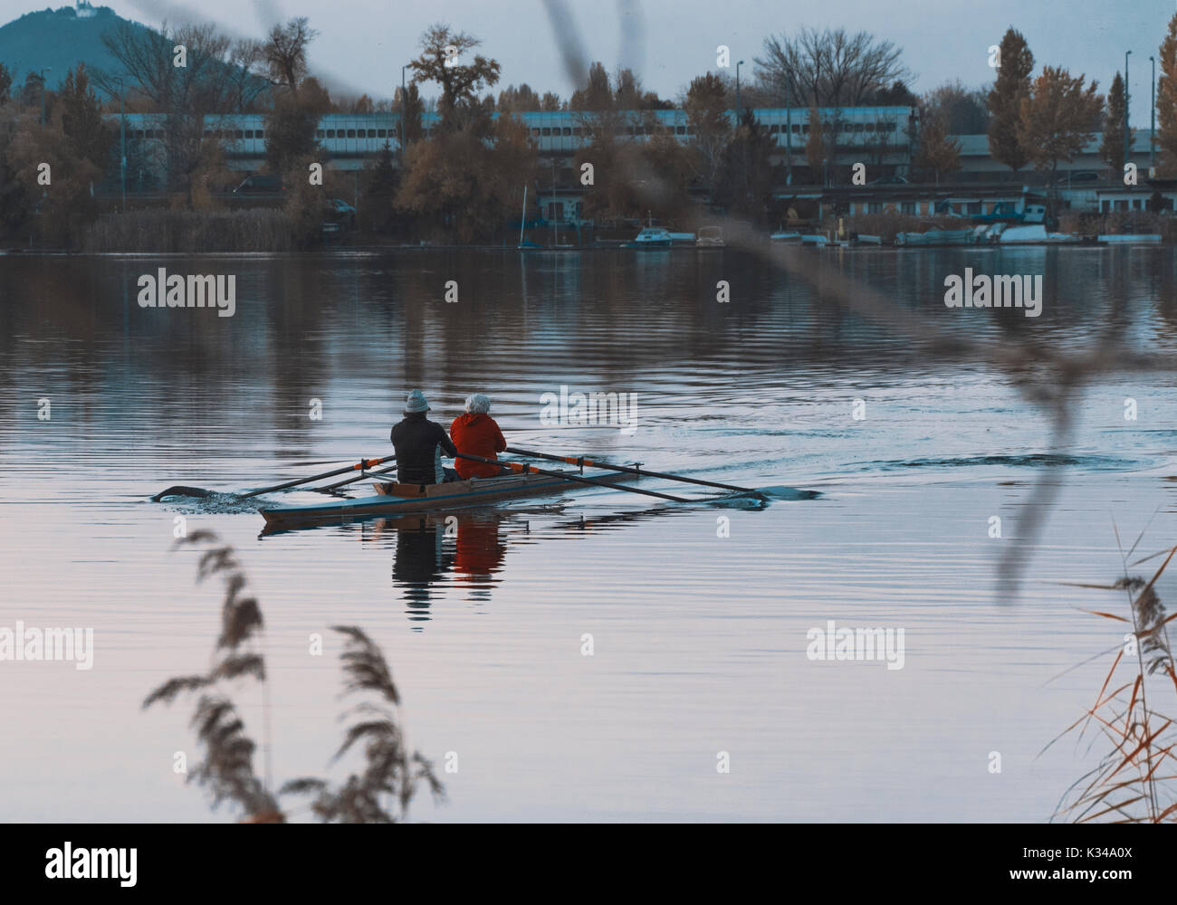 In The Water Stock Photo - Alamy