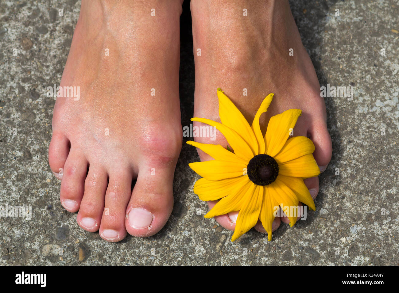 Close-up of woman feet with flower between toes Stock Photo - Alamy