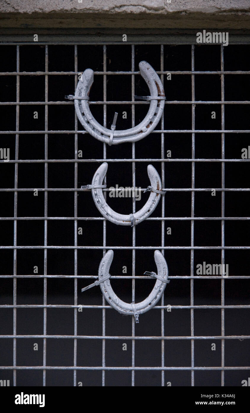 horseshoes attached to a grill on a stud farm in Dunsany, County Meath ...