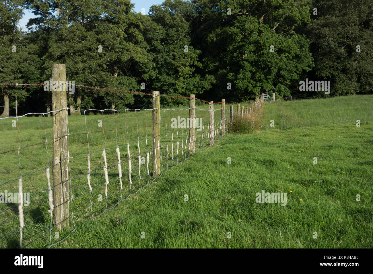 Fence around field wales hi-res stock photography and images - Alamy